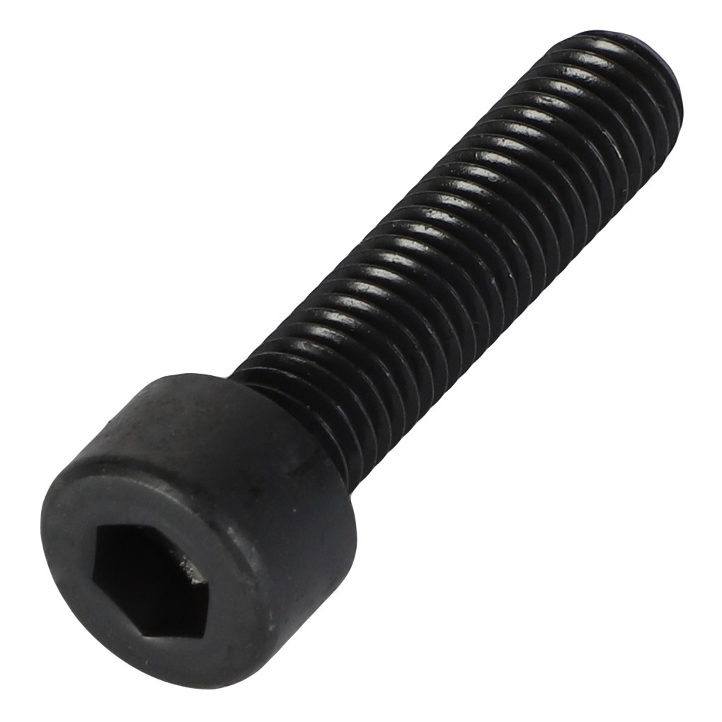 HEX SOCKET SCREW V581704640 | AGCO Parts