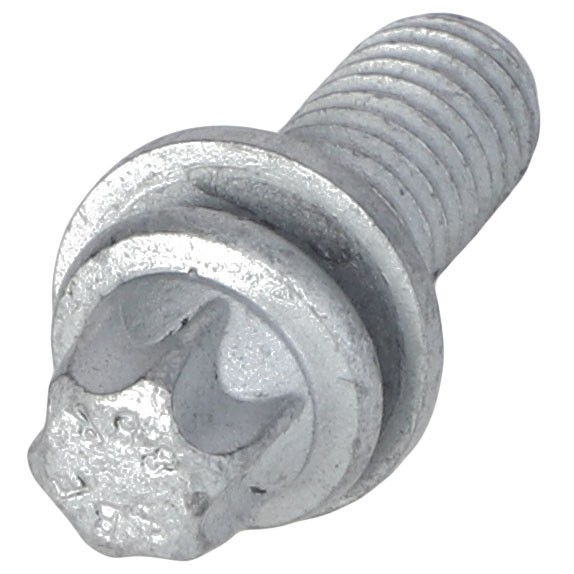 TORX HEAD BOLT 1181421 | AGCO Parts