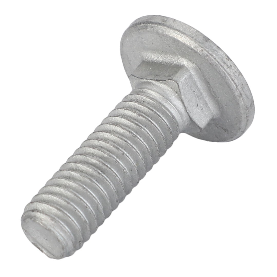 Round head Bolt 3009330X1 | AGCO Parts