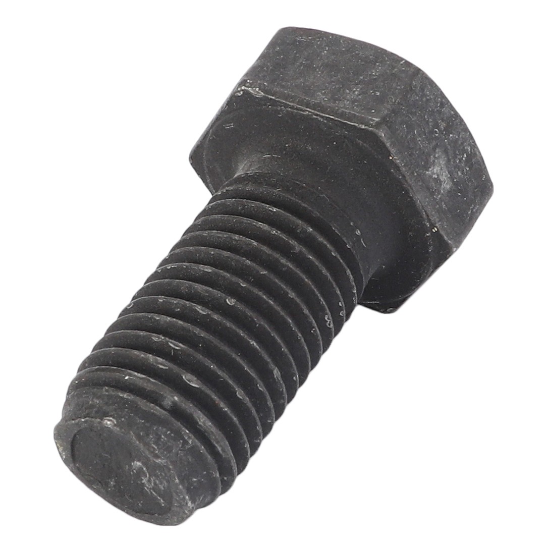 Hex Head Bolt 3010916X1 | AGCO Parts