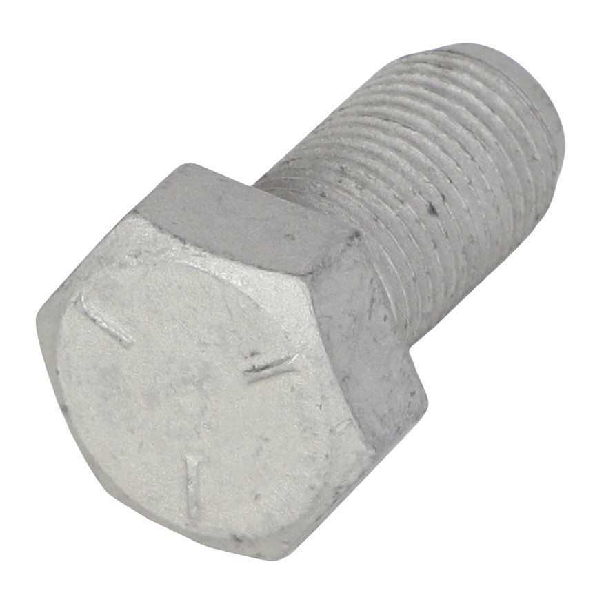 HEXAGONAL HEAD BOLT 703181 | AGCO Parts