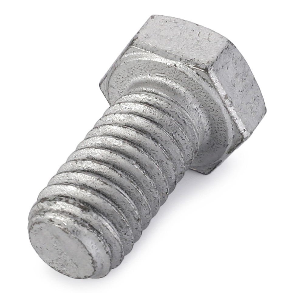 HEX CAP SCREW 703199 | AGCO Parts