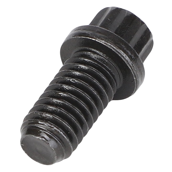 12 POINT FLANGE HEAD BOLT | AGCO UKB2B2C Site