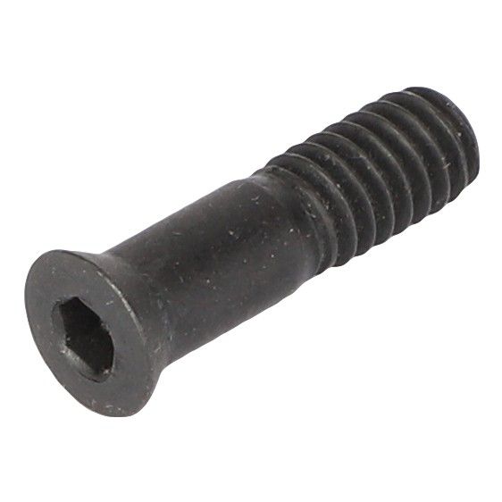 HEX SOCKET HEAD BOLT 71399779 | AGCO Parts