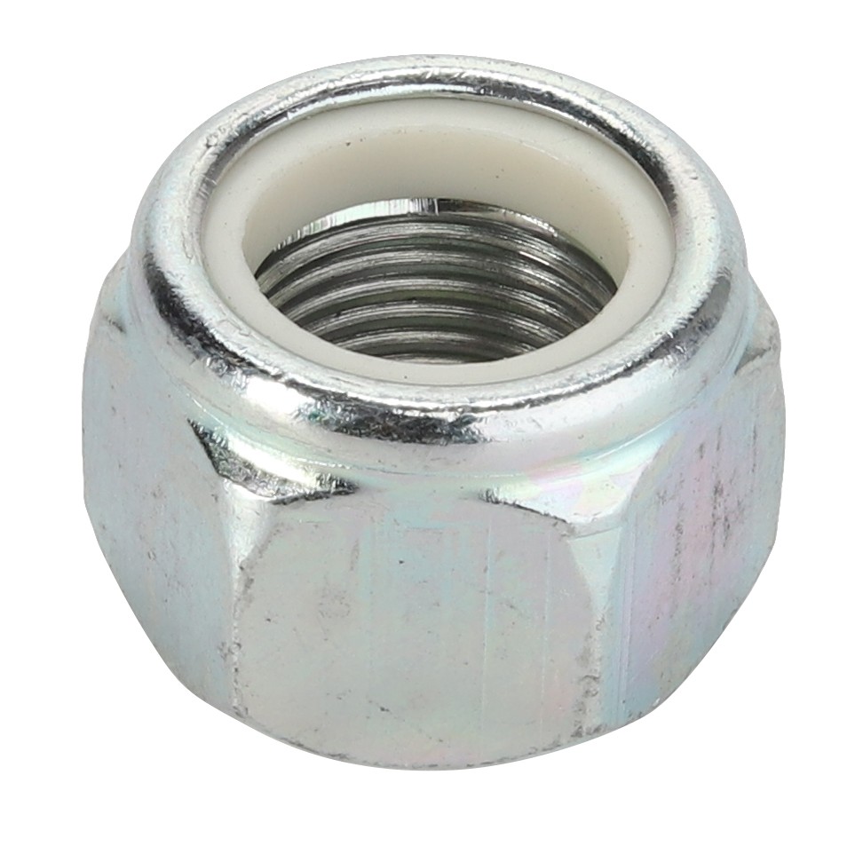 LOCKNUT 2.1120.210.2 | AGCO Parts