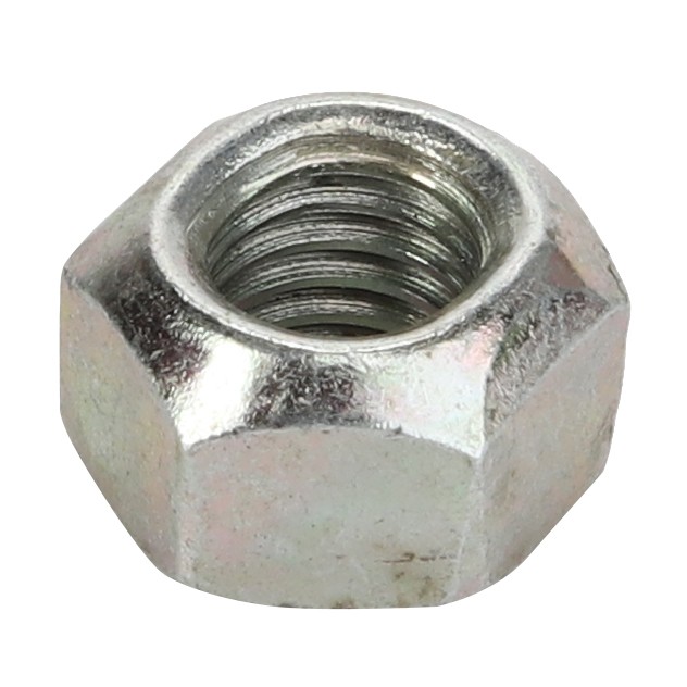 TOP LOCK NUT | AGCO Parts