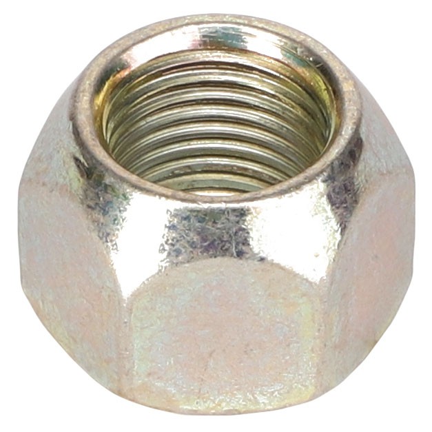 WHEEL NUT SN18628 | AGCO Parts