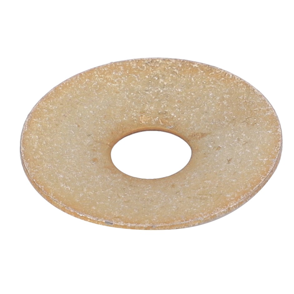 Spring washer | AGCO Parts
