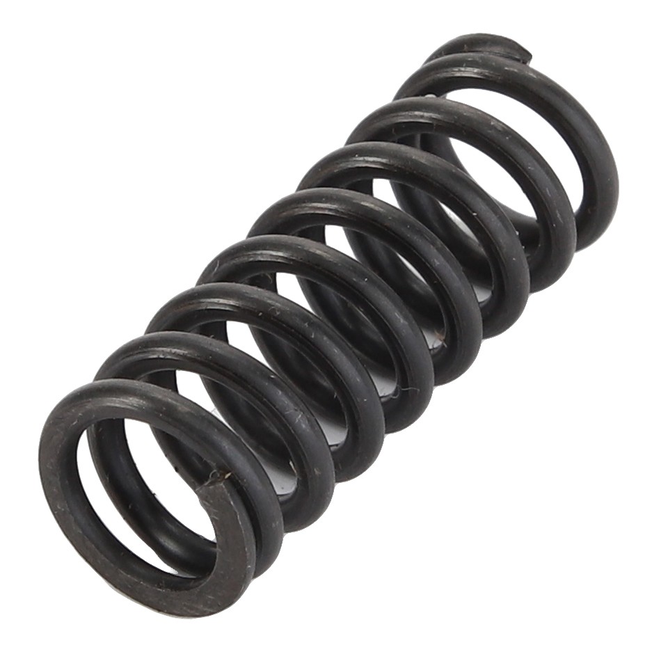SPRING | AGCO Parts