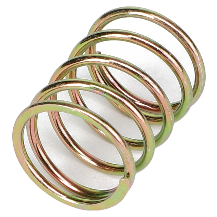 COMPRESSION SPRING 1696505M1 | AGCO Parts