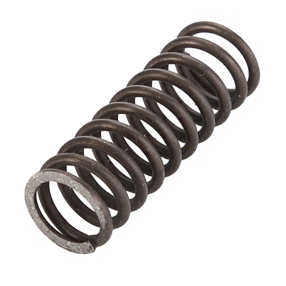 SPRING 2.4019.257.1 | AGCO Parts