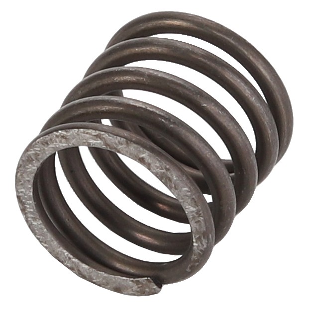 SPRING | AGCO Parts