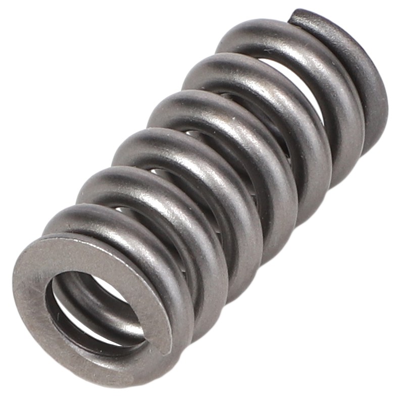 SPRING | AGCO Parts