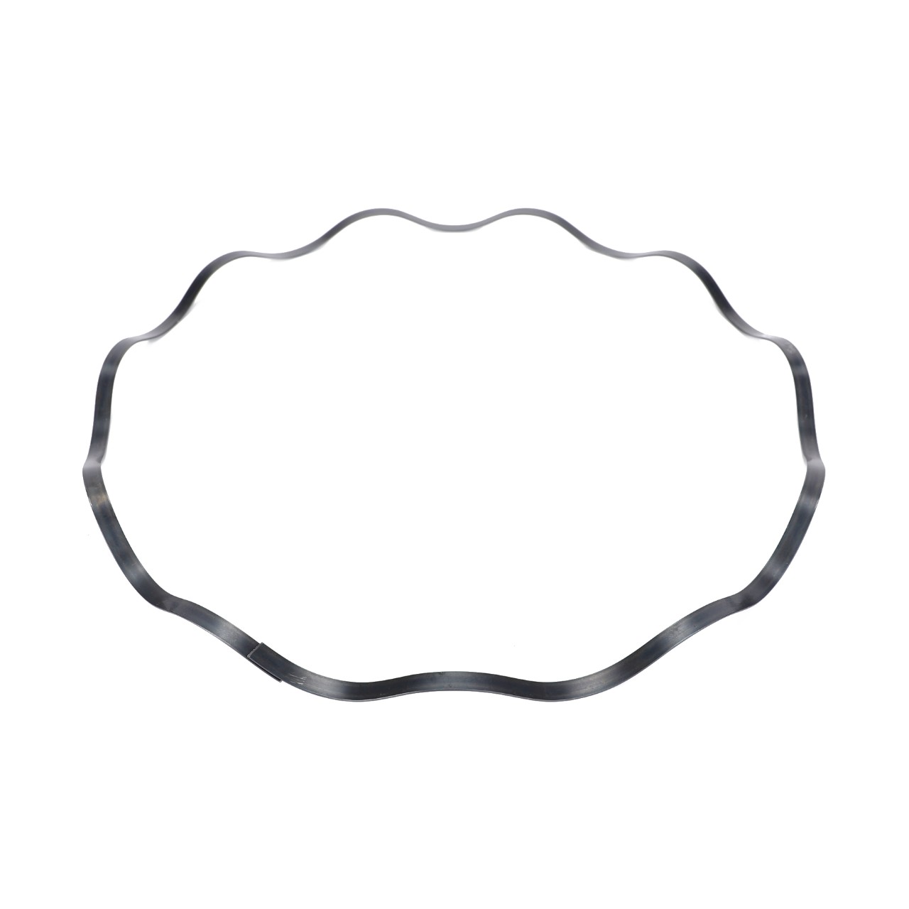 WAVE SPRING 557001D2 | AGCO Parts