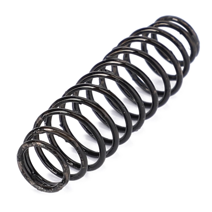 Spring 700720548 | AGCO Parts