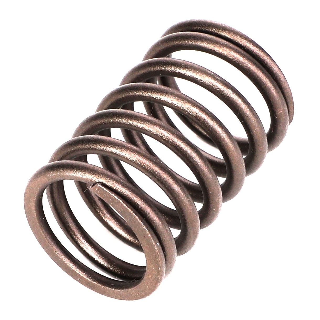 SPRING 731154M1 | AGCO Parts