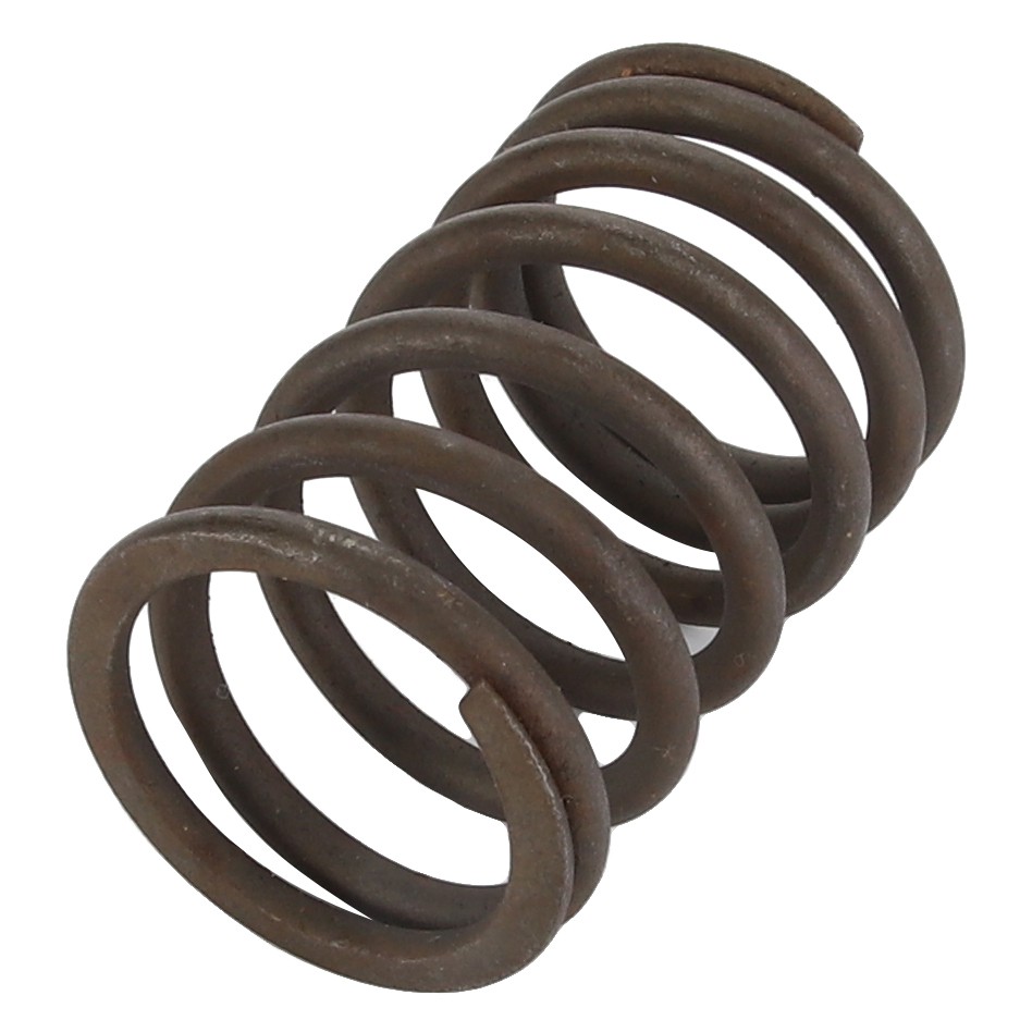 SPRING 740465M1 | AGCO Parts