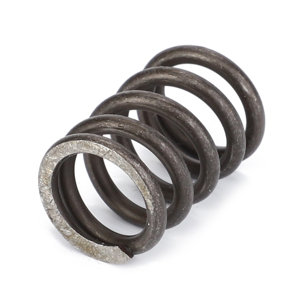 COMPRESSION SPRING X699318000000 | AGCO Parts