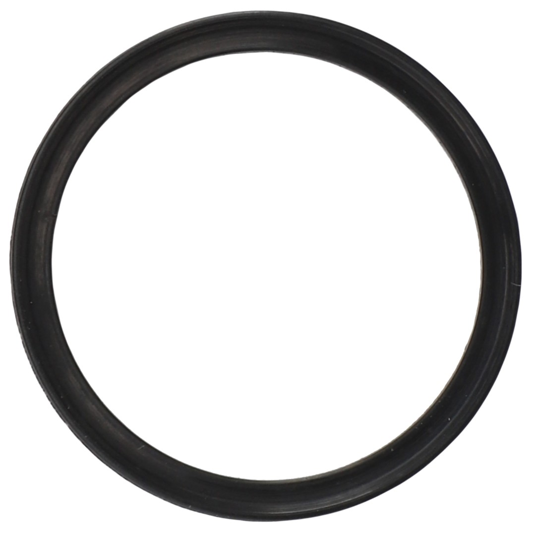 BACKUP RING | AGCO Parts