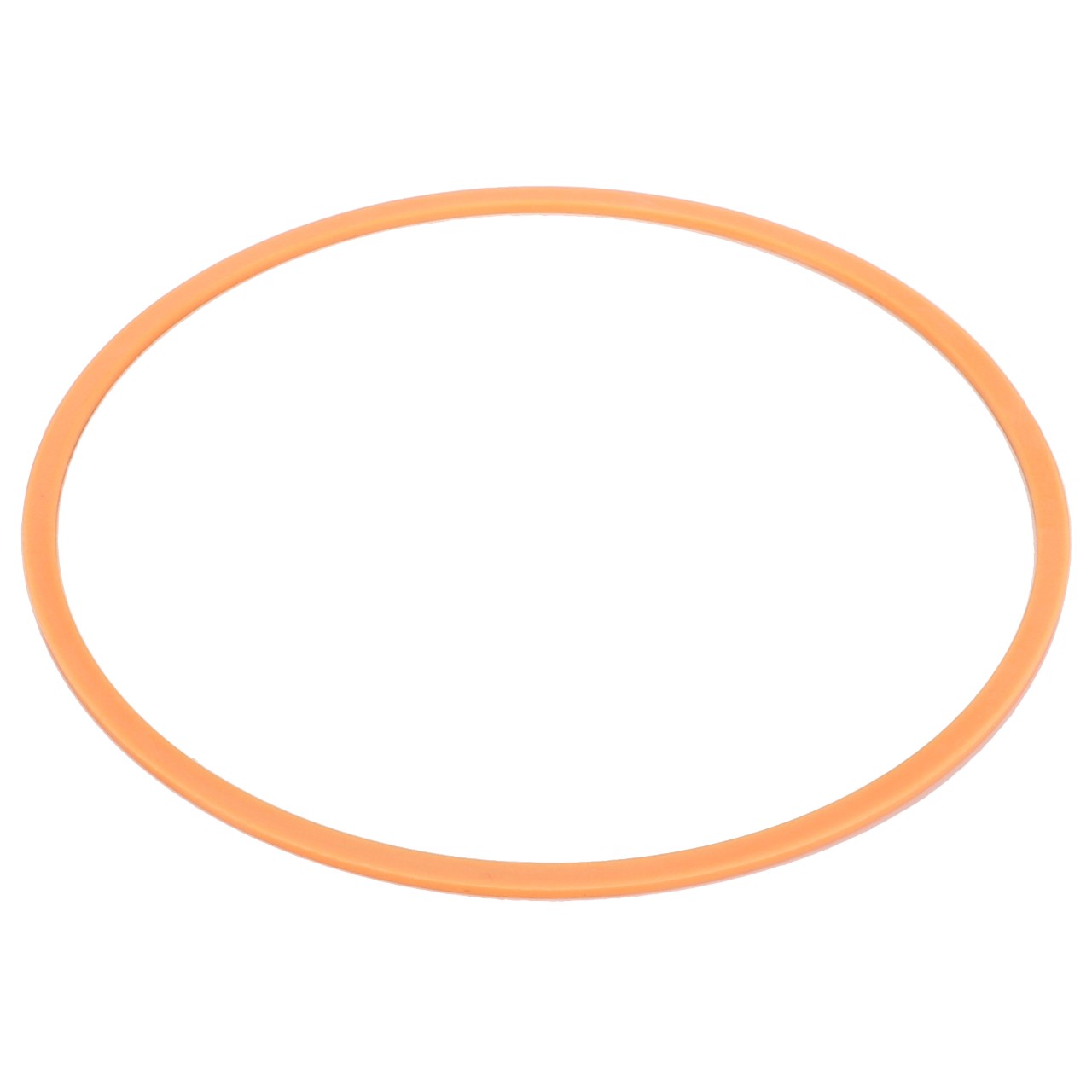 BACKUP RING | AGCO Parts