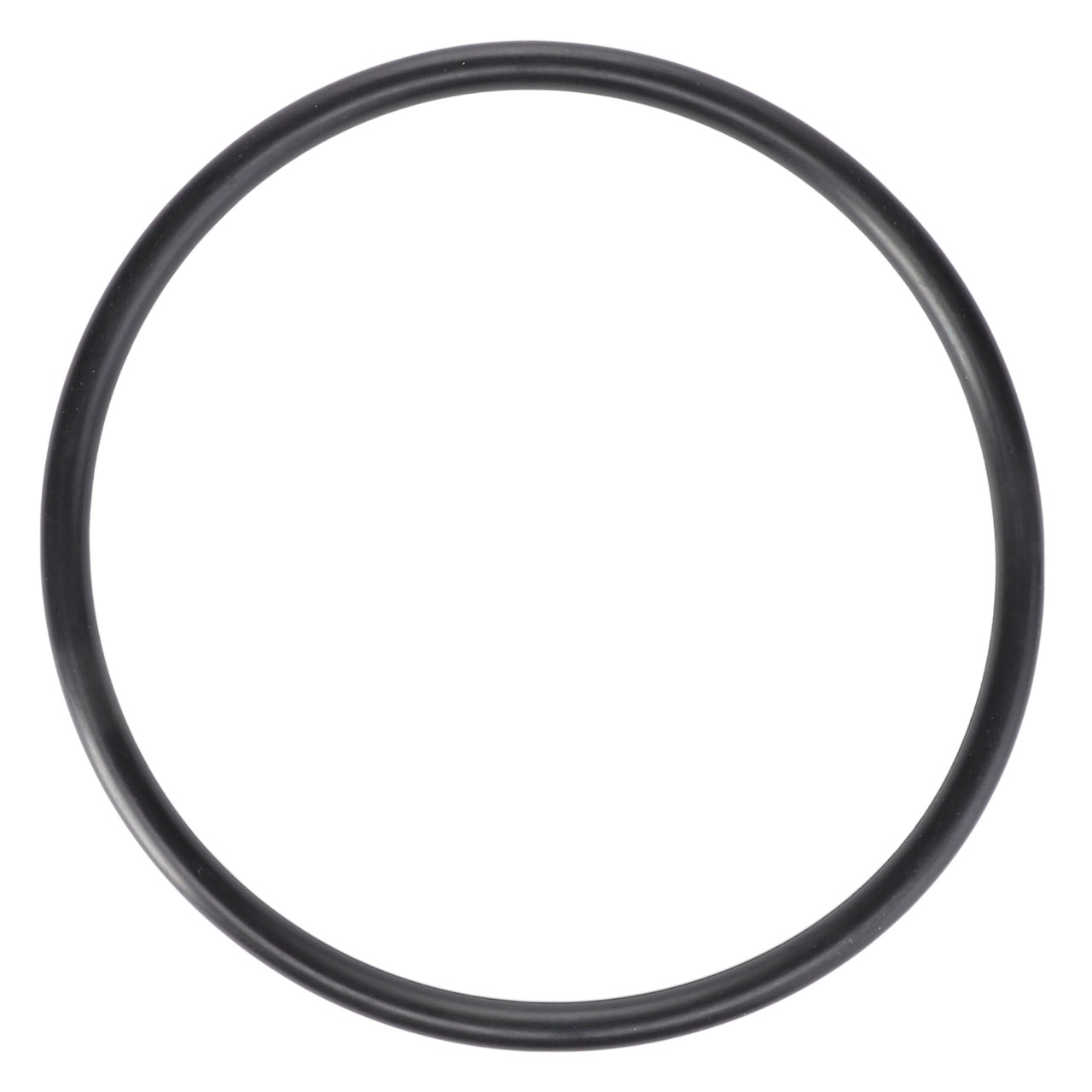 BACKUP RING | AGCO Parts
