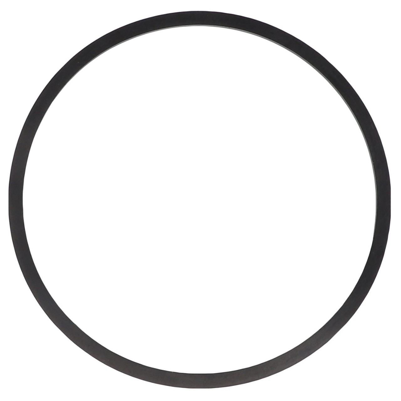 BACKUP RING | AGCO Parts