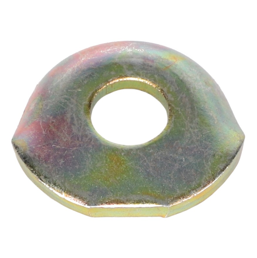 TINE CLIP 261024HE1 | AGCO Parts