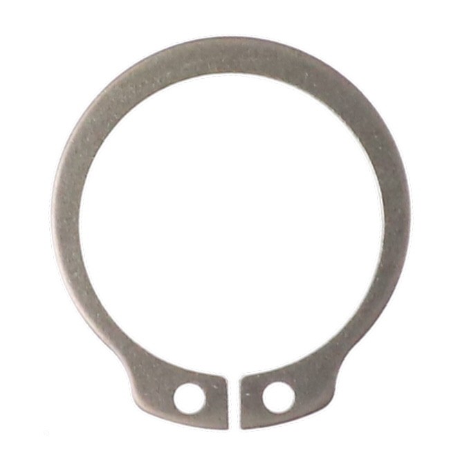 RETAINING RING | AGCO Parts