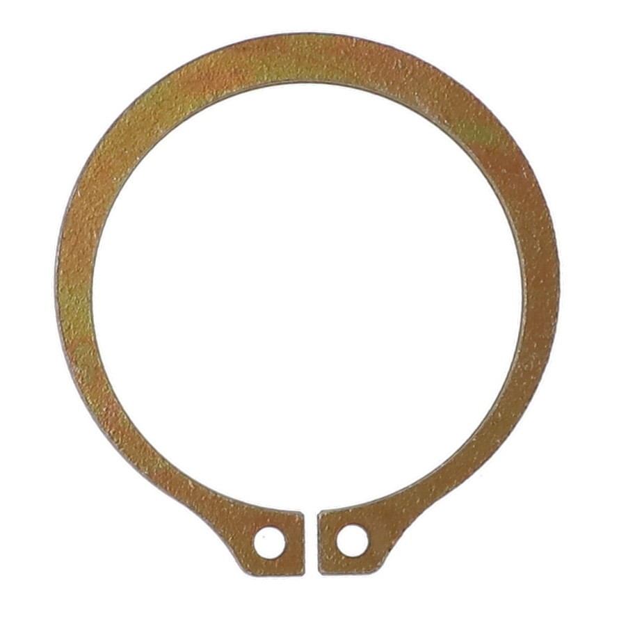 RING | AGCO Parts