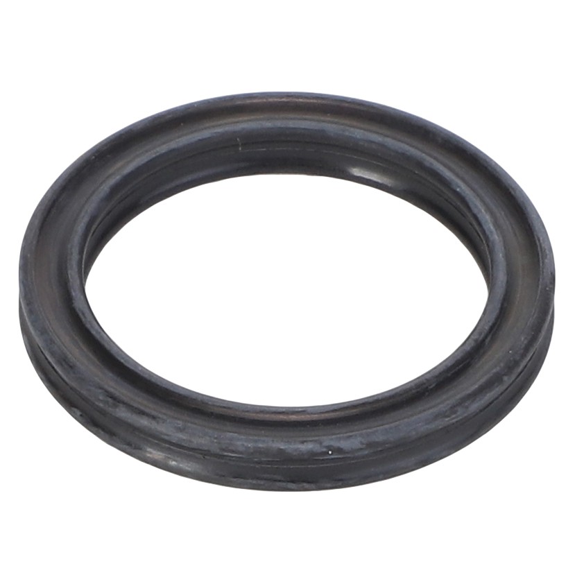 RING | AGCO Parts