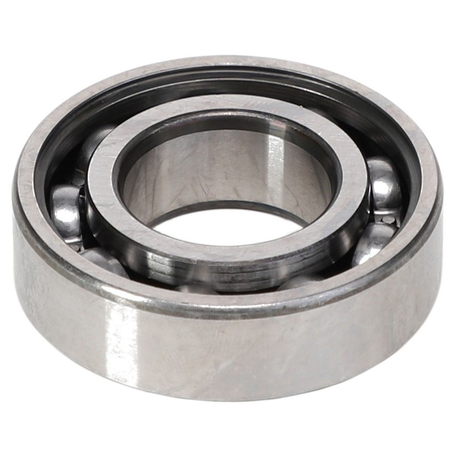 Cylindrical Round Bore Ball Bearing 1109045 | AGCO Parts