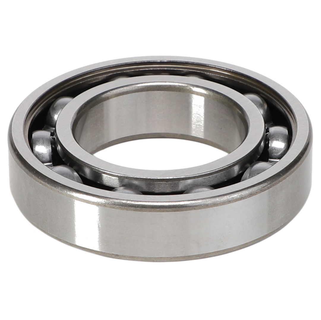 Cylindrical Round Bore Ball Bearing | AGCO Parts