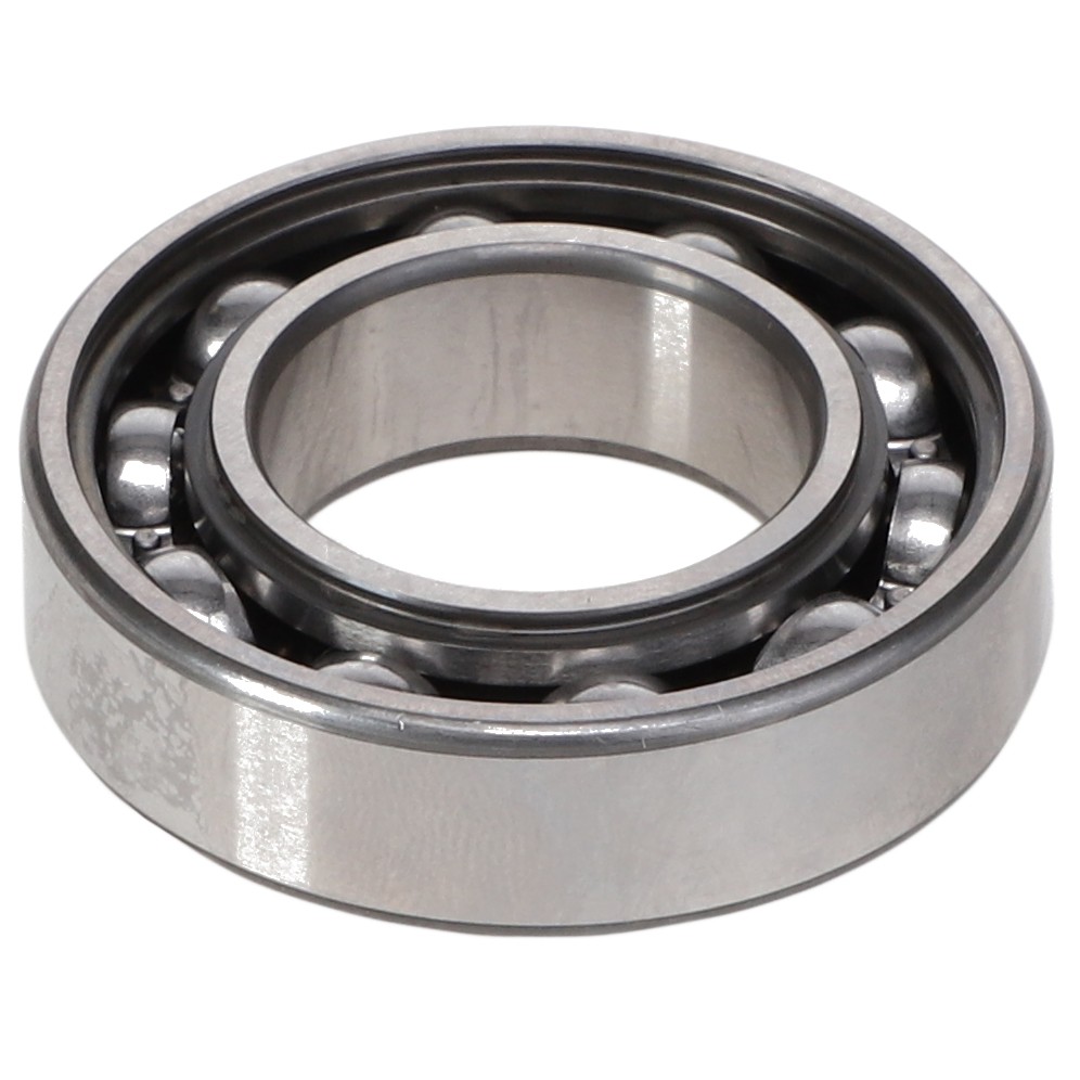 Cylindrical Round Bore Ball Bearing | AGCO Parts