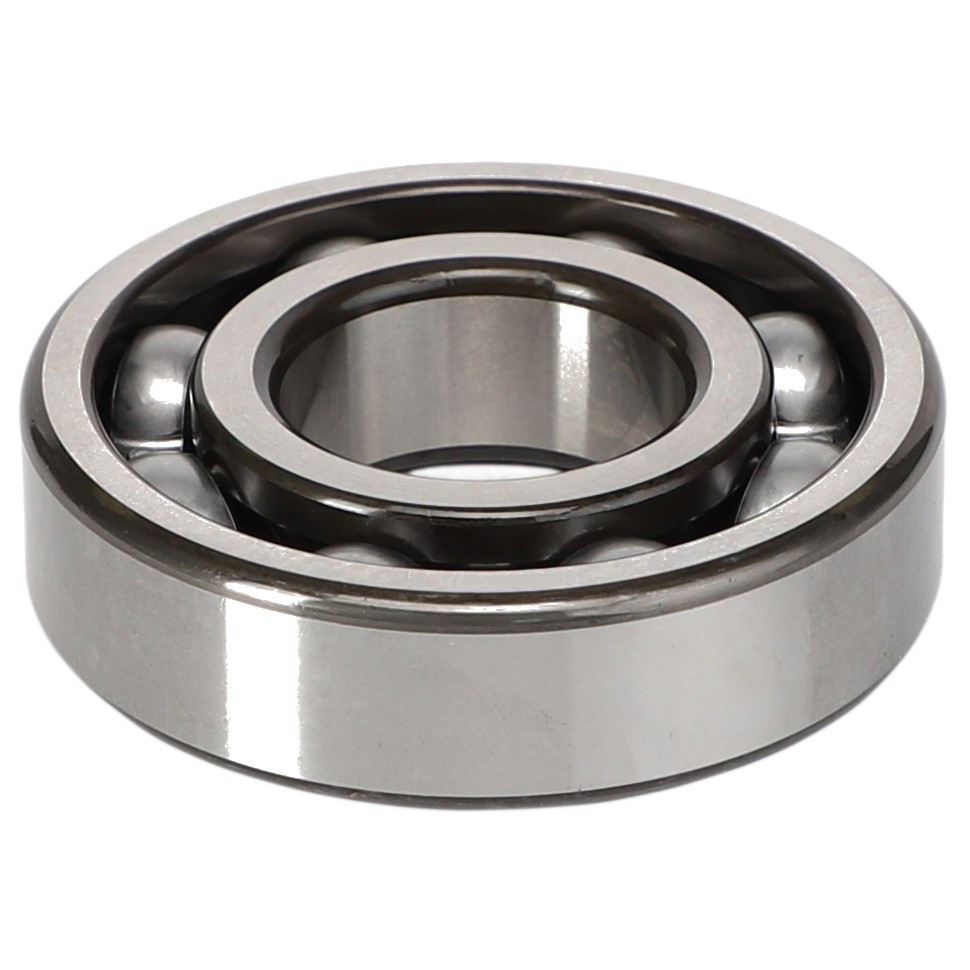 Cylindrical Round Bore Ball Bearing 2389930 | AGCO Parts