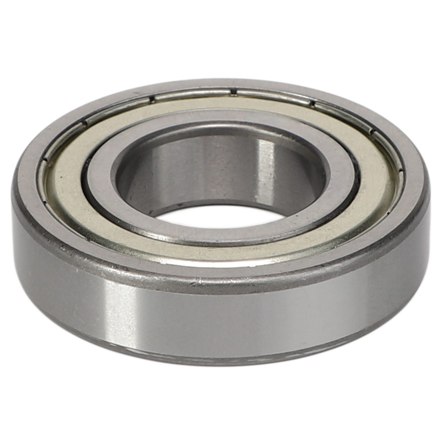 Cylindrical Round Bore Ball Bearing 70210290 | AGCO Parts