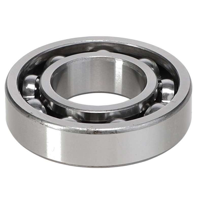 Cylindrical Round Bore Ball Bearing | AGCO Parts
