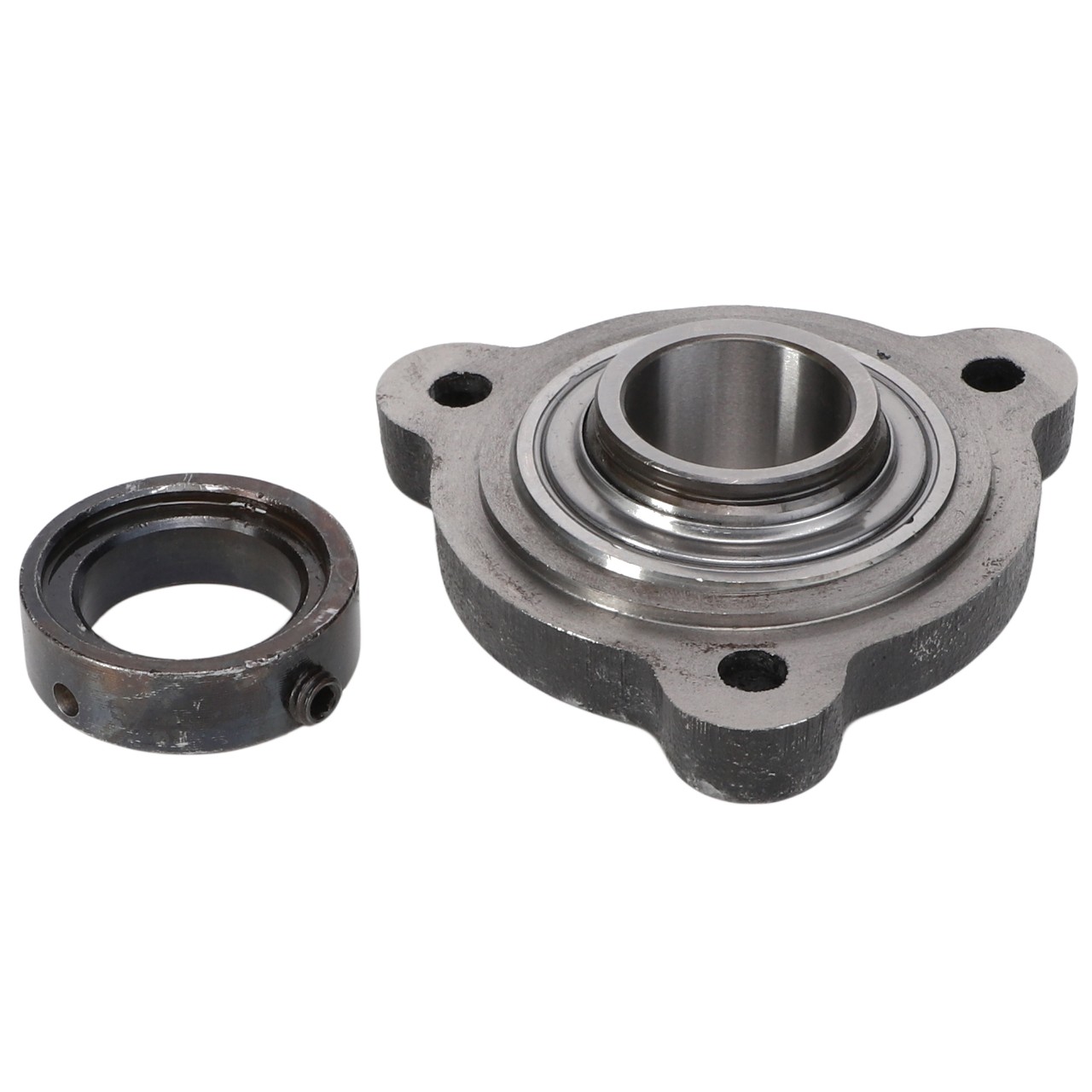 BEARING ASSY 700139856 | AGCO Parts