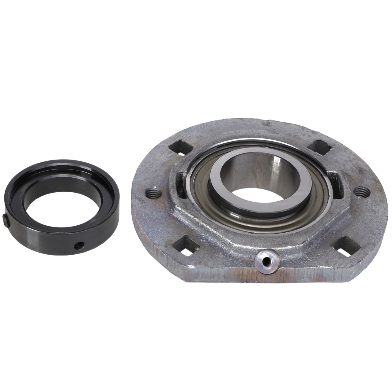 BEARING ASSY 700177464 | AGCO Parts