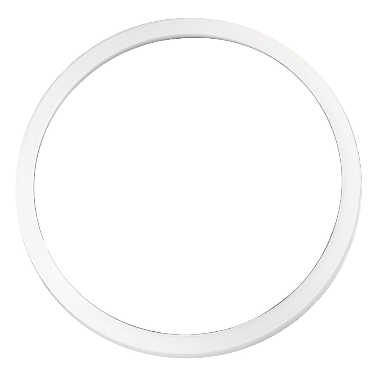 SUPPORTING RING F178960900020 | AGCO Parts