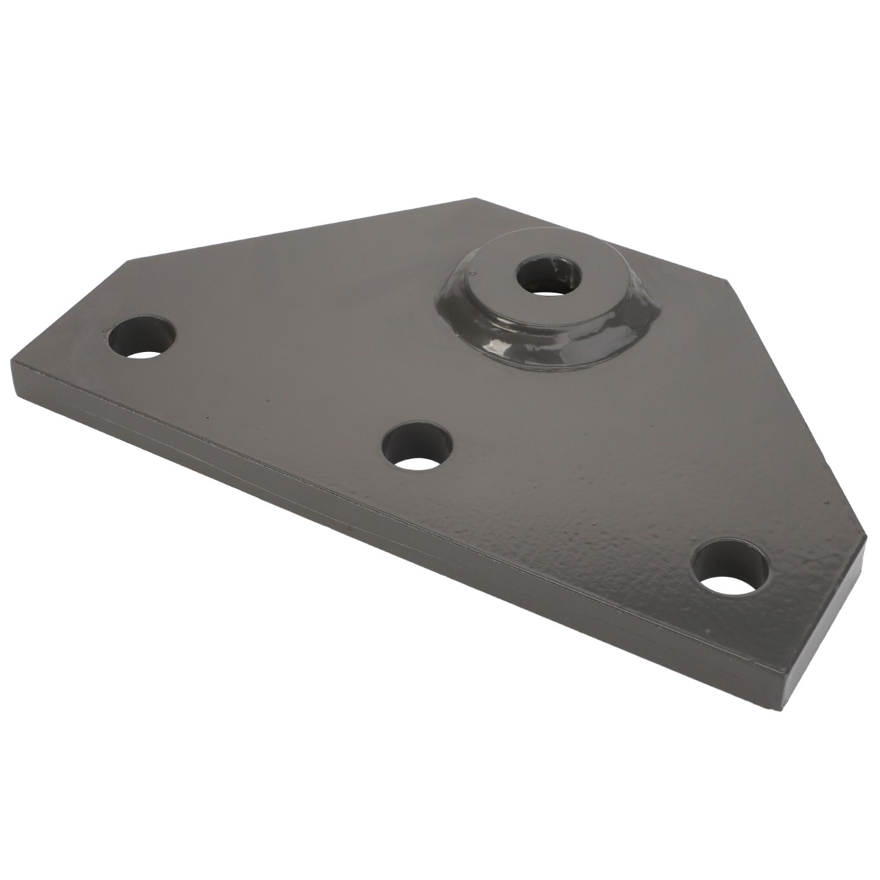 BEARING PLATE FEL13154309 | AGCO Parts