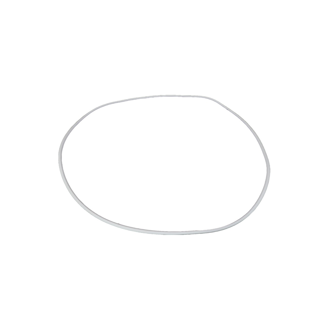 SEALING RING 177-6763 | AGCO Parts