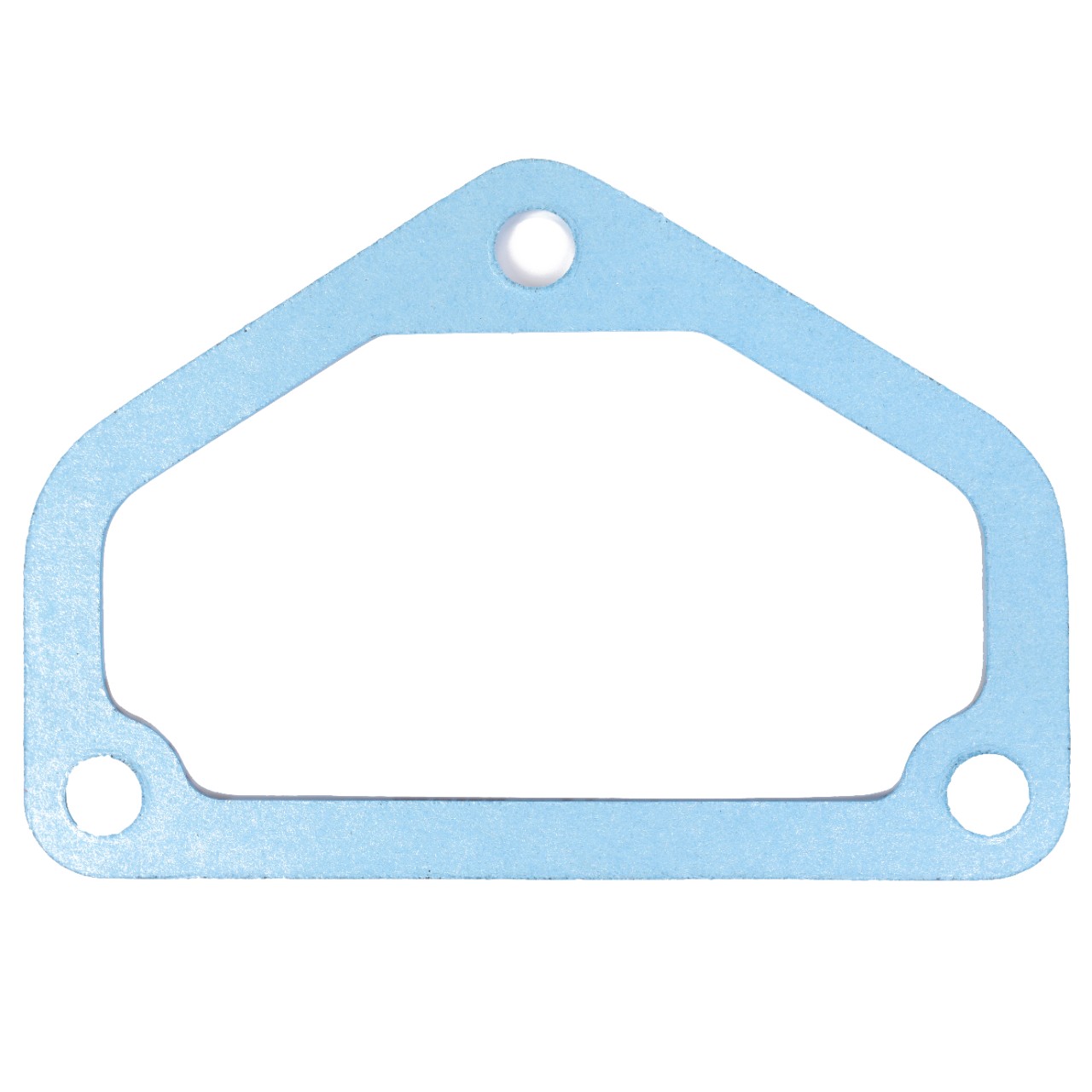 Gasket, Wet Brakes 1860960M2 | AGCO Parts