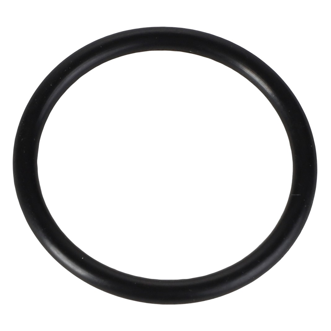 O-RING | AGCO Parts