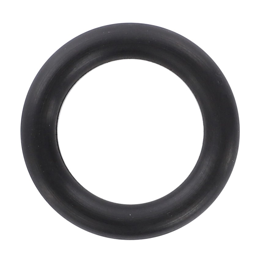 O-Ring, Hydraulic Pump 3000417X1 | AGCO Parts