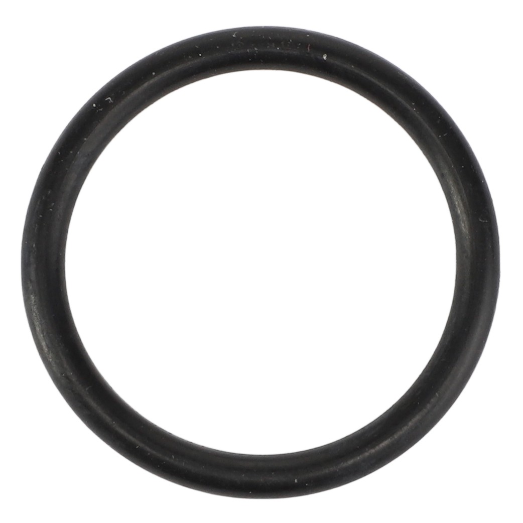 O-Ring | AGCO Parts