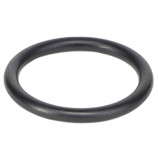O-Ring 4264754M1 | AGCO Parts