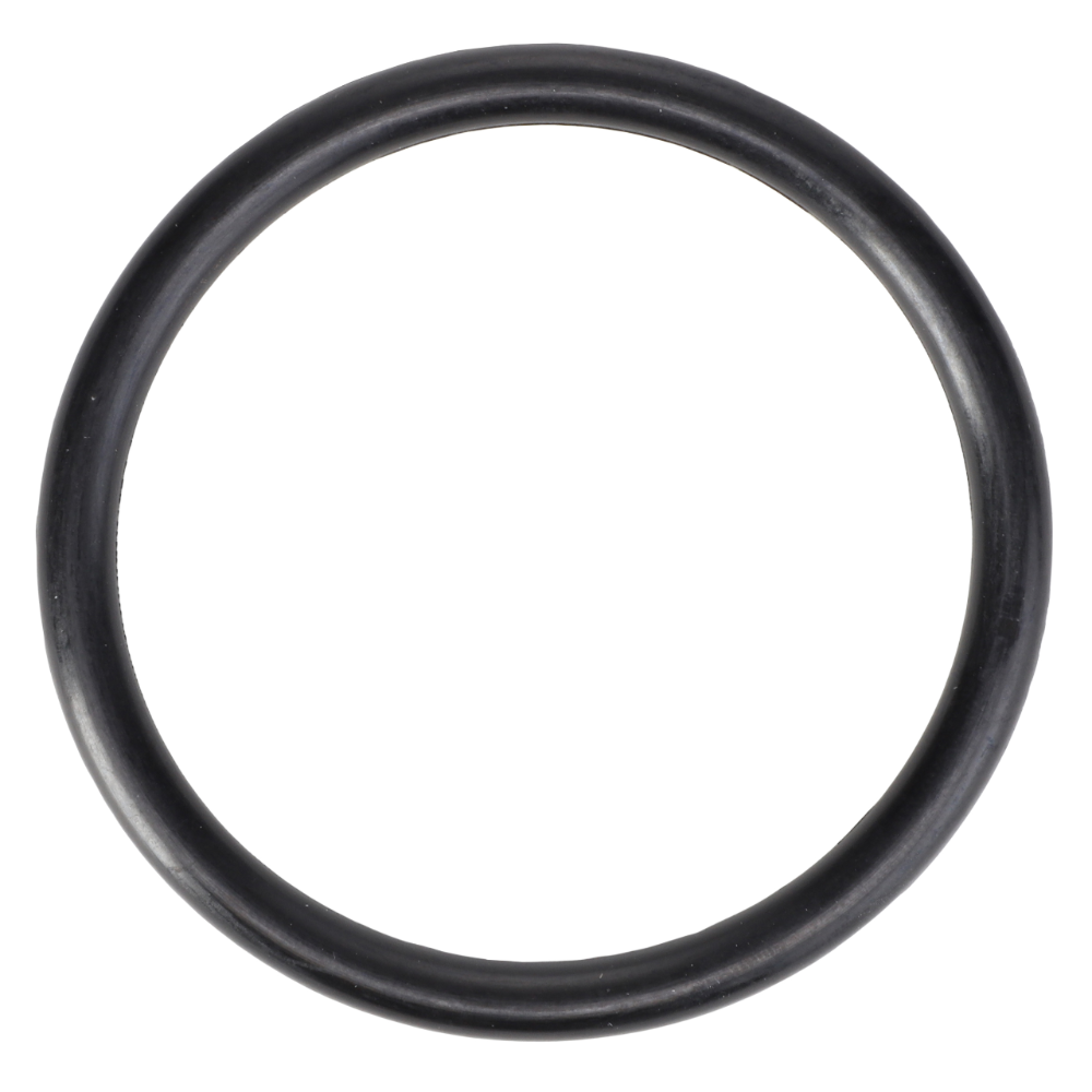 O-Ring 70227933 | AGCO Parts