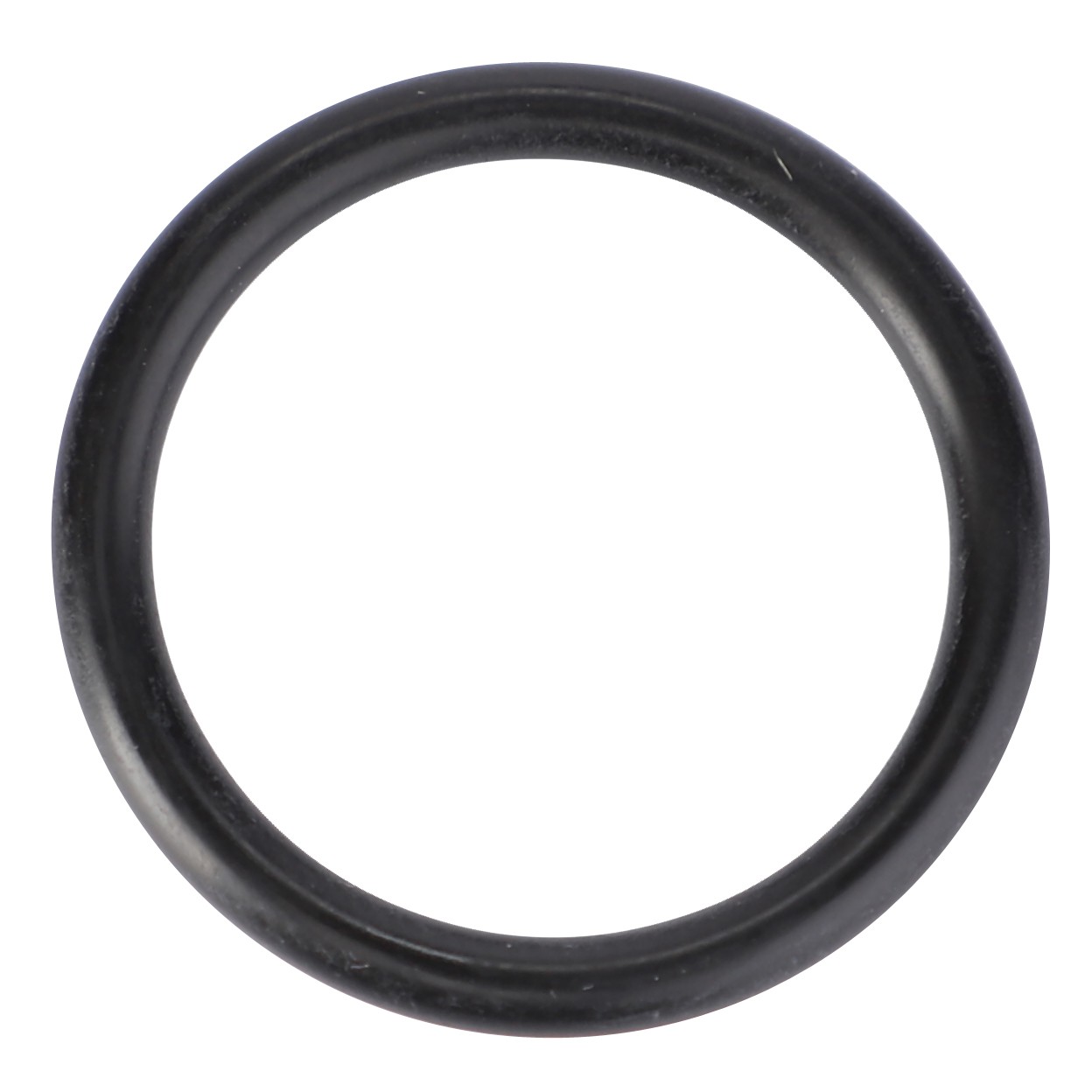 O-Ring | AGCO Parts