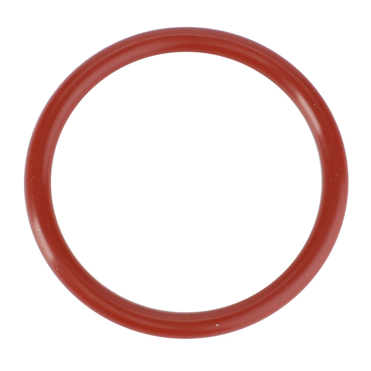 O-Ring | AGCO Parts
