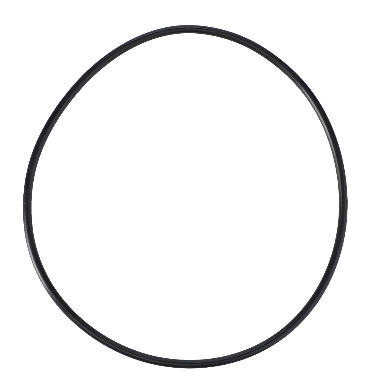 O-Ring, Oil Filter X548987066000 | AGCO Parts